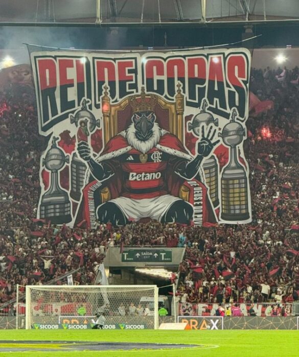Flamengo é campeão do Brasileirão 2025 e vive o ano mais vitorioso de ...
